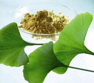China Ginkgo Extract,ginkgetin 24%,gingko flavonoids 24%,bilobalide/ginkgolide 6% CAS:90045-36-6 for sale