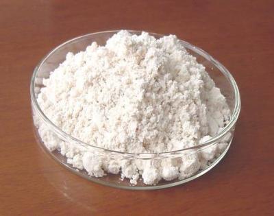 China Magnolia Extract (Plant Extract) Total Magnolols 50%,80%,90%,95% for sale