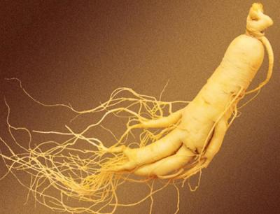 China Enhance immunity Ginseng Extract 10%-80% Ginsenosides Cas.:72480-62-7,90045-38-8 for sale