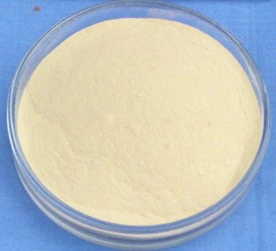 China anti-oxidant plant extract 98% Sodium Danshensu CAS 67920-52-9 for sale