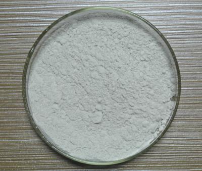 China 50% Hydroxycitric Acid natural garcinia cambogia extract for sale