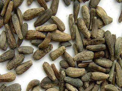 China Arctiin/Burdock Seed Extract CAS No.: 20362-31-6 for sale