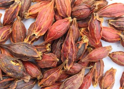 China Chinese herbal Gardenia Extract Gardenoside/Geniposide 5%-75%, 10:1, 20:1 for sale