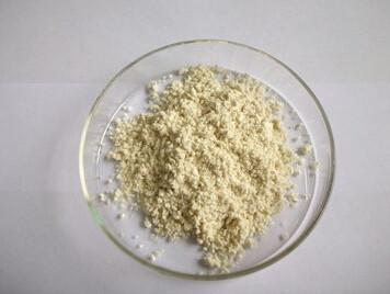 China Bayberry Bark Extract,Waxmyrtle Bark Extract,Waxberry Bark Extract,Myricetin,Myricitrin for sale