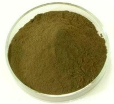 China Fucus Plant Extract iodine0.1%, 5:1 for sale