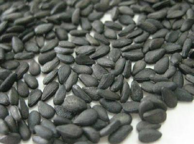 China Black Sesame Extract powder 10:1 for sale