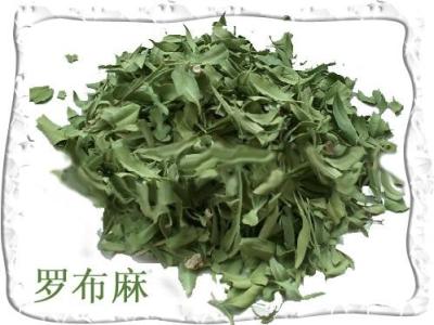 China Apocynum venetum extract 5:1 10:1 20:1 for sale