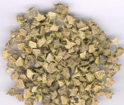 China high quality Protodioscin 20% CAS NO. :55056-80-9 for sale