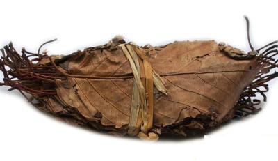China Hawthorn Leaves extract 10:1 for sale