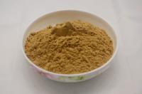 China Natural supplement antrodia camphorata extract 10:1 for sale