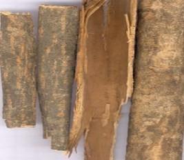 China natural Ash Bark Extract powder 10:1 for sale
