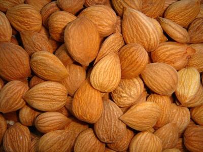 China Bitter Apricot Seed Extract Amygdalin 50% for sale