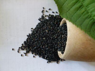 China Sesamin Sesamum Indicum Seed Powder 60% for sale