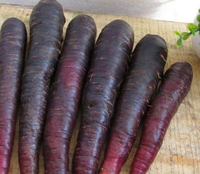 China Standardized Black Carrot Extract Anthocyanin 5~25 for sale