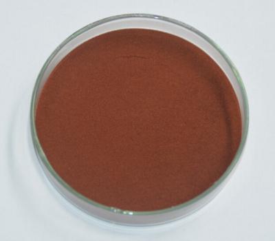 China pine bark botanical extract anti-oxidant for sale