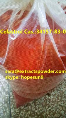 China natural Celastrol powder 99%HPLC, Celastrol for nutritional supplement CAS:34157-83-0 for sale