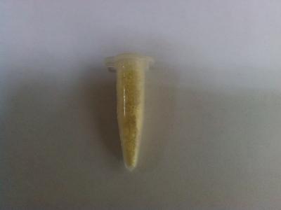 China API material icariin 98 wholesale cas. 489-32-7 for sale