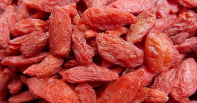 China hot sale dried goji berries for sale