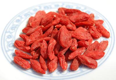 China organic goji berries wholesale for sale