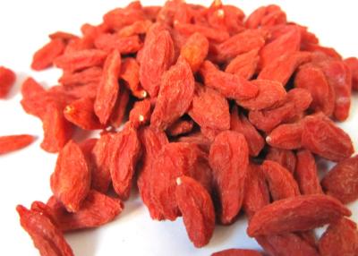 China Natural Dried Goji berry/Dried Wolfberry fruit for sale