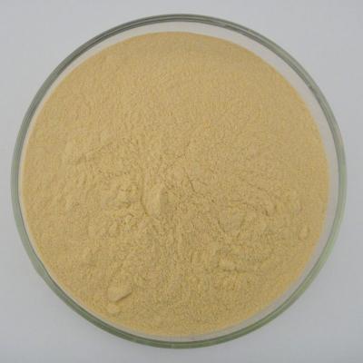 China sea buckthorn berry extract-bulk,seabuckthorn fruit extract for dietary supplement for sale