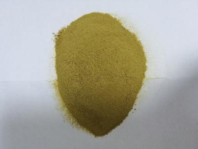 China Oliver leaf Extract,Oliver leaf Extract Powder,Oliver leaf P.E.,Hydroxytyrosol for sale