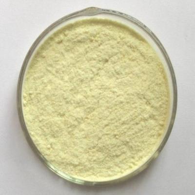 China Troxerutin Sophora Japonica Extract, Troxerutin 98% Cas: 7085-55-4 for sale