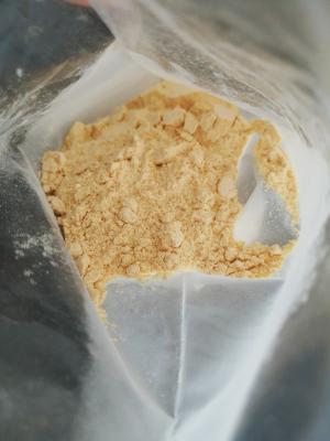 China Notoginseng Extract, Panax Notoginseng Extract,Notoginseng Root Extract for sale
