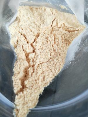 China Notoginsenoside,Panax Notoginseng Extract,Radix Notoginseng Extract,Sanchi Extract for sale