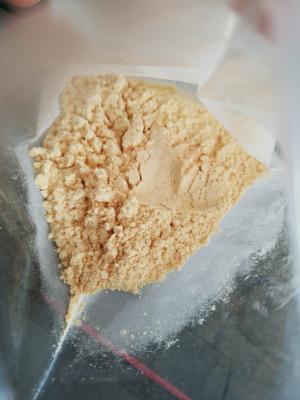 China Radix Notoginseng P.E,Radix Notoginseng Extract,Radix Notoginseng Extract Powder for sale