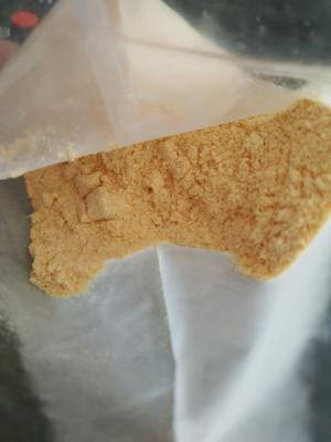 China pseudo-ginseng extract powder total triterpenes 75%, notoginsenoside 75% for sale