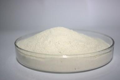 China pepsin, pepsin enzyme, pharm &food grade pepsin powder cas. 9001-75-6 for sale