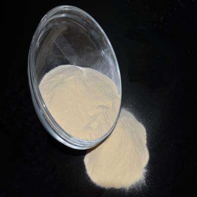 China Mucinum Gastrtcum, Gastron, Gastric Mucin from hog mucous membrane CAS: 10047-33-3 for sale