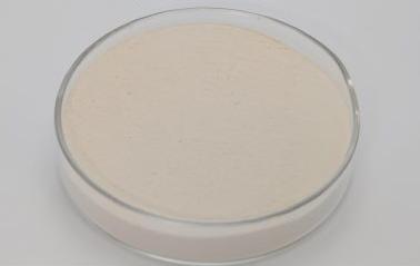 China Ceramide Rice Bran Extract, Phytoceramides, Ceramide Rice Shell Extract, liposomal ceramide Cas. 104404-17-3 for sale