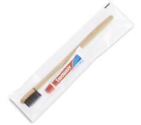 China Hotel Travel Mini Oral Care Toothpaste With Toothbrush Dental Kit 10g for sale