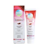 China Dentifresh Herbal Cinnamon Toothpaste - 100ml Soothes Gums Prevents Cavities & Decay for sale