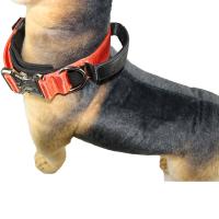 China 30 28 Inch Custom Dog Collars For Large Dogs Xl  Xs Xxs Nylon Custom Pet Collar Metal Buckle for sale
