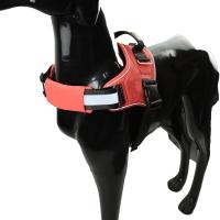 China 19 Inches Adjustable Durable Dog Harness For Puppy Everyday Walks Hikes Training Sturdy Handle for sale