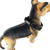China 40 Inch 32 Inch Cute Dog Collars 30cm 75cm X Xs Xl Personalized Dog Collar Luxury for sale