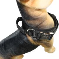 China 40 Inch 32 Inch Cute Dog Collars 30cm 75cm X Xs Xl Personalized Dog Collar Luxury for sale