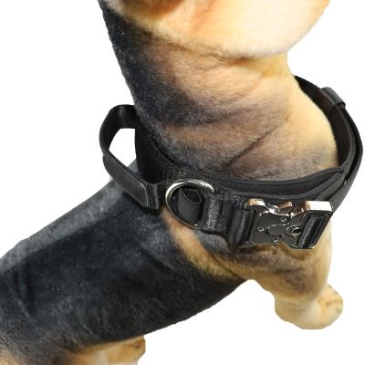 China 40 Inch 32 Inch Cute Dog Collars 30cm 75cm X Xs Xl Personalized Dog Collar Luxury for sale