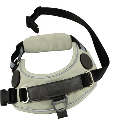 China Xxs  Xxs Pet Dog Harness Aesthetic Anti Pull Assistance Grooming Blue Black for sale
