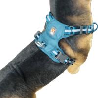 China 16 Inches Custom Blue Emergency Escape Proof Dog Harness For Small Dogs Tear Proof Anti Escape for sale