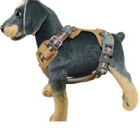 China Collection 	Pet Dog Harnesses Set No Escape Outdoor Dog Harness With Metal Buckles 12inch for sale