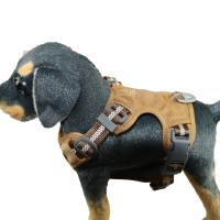 China Collection 	Pet Dog Harnesses Set No Escape Outdoor Dog Harness With Metal Buckles 12inch for sale