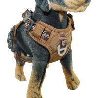 China Collection 	Pet Dog Harnesses Set No Escape Outdoor Dog Harness With Metal Buckles 12inch for sale