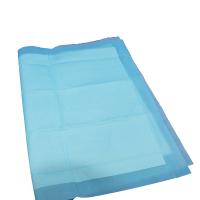 China Home Disposable Puppy Pet Pee Pad Absorbent Dog Training Pee Pad Mat for sale