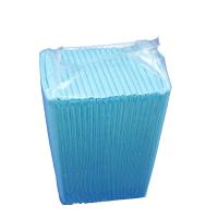 China Custom All Season Disposable Pet Pee Pad For Dogs Training for sale
