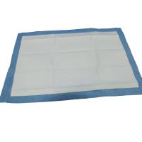 China Custom All Season Disposable Pet Pee Pad For Dogs Training for sale