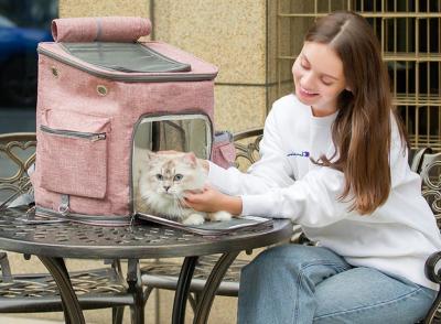 China Cat Dog Hiking Backpack Pet Travel Bag Airline Approved Breathable Large 16.9 In 13.4